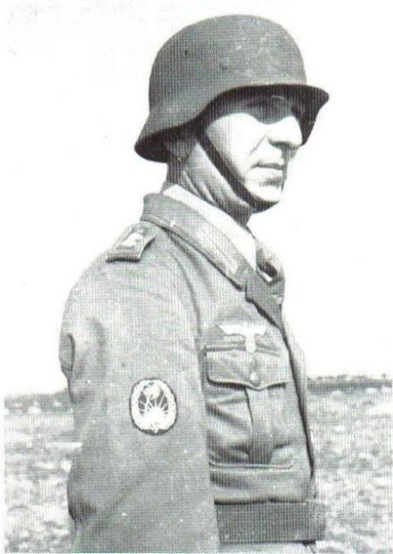 The Afrika Korps Palm Tree & Swastika - WW2 Helmets™