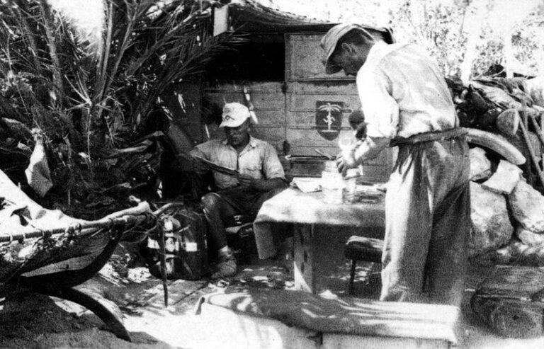 The Afrika Korps Palm Tree & Swastika - WW2 Helmets™