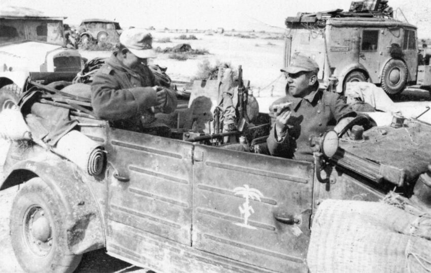 The Afrika Korps Palm Tree & Swastika - WW2 Helmets™